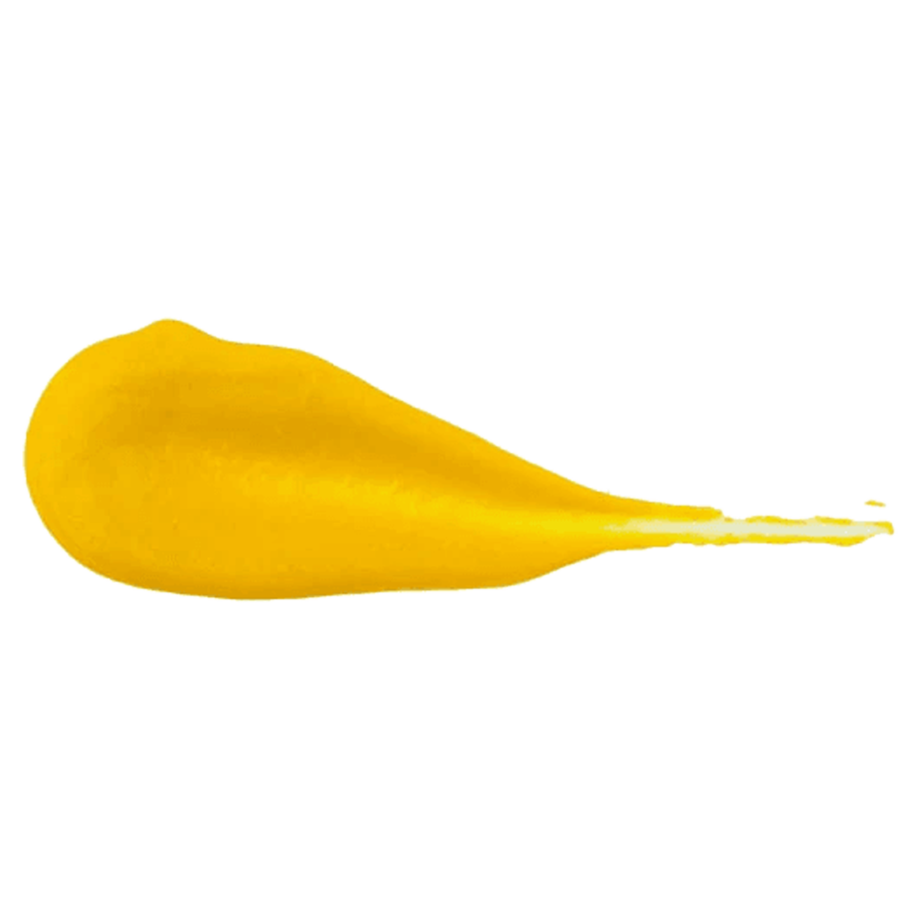 Mustard Dijon Paste – Spice Herbs Australia