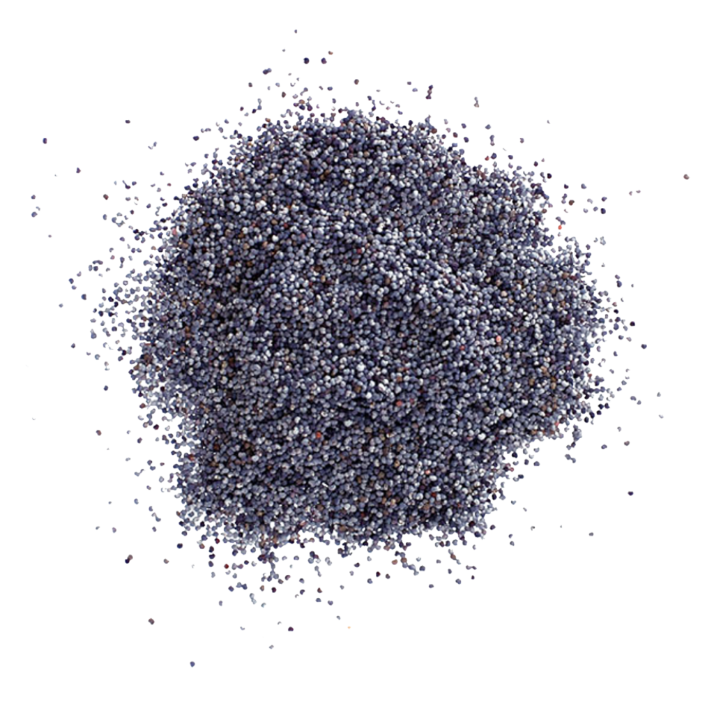 Poppy seed – Spice Herbs Australia
